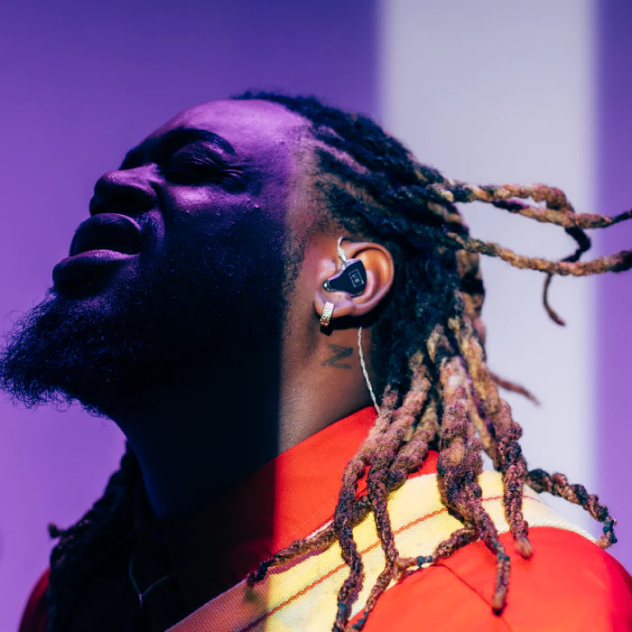 Ultimate Ears Professional | Custom In Ear Monitors – Ultimate Ears PRO